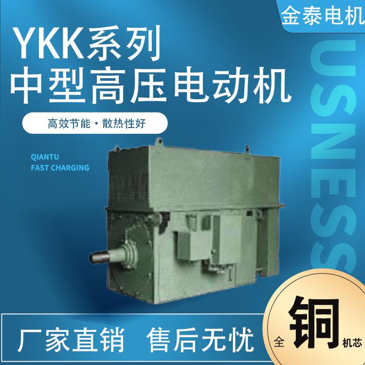 六安金泰电机马达点胶机厂家Y中型高压电动机三相异步高效节能