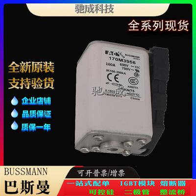 巴斯曼170M3955 170M3956 170M3957 厂家直供价优 方体熔断器