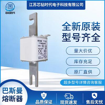 170M3909 170M3910 巴斯曼BUSSMANN熔断器保险丝