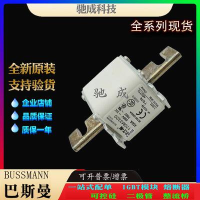 巴斯曼170M3319 170M3320 170M3321 加工制作量大价优 高速熔断器