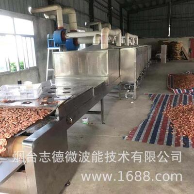 柜式大鱼小虾烘烤设备连续式海产品快速烘干设备微波烘干设备