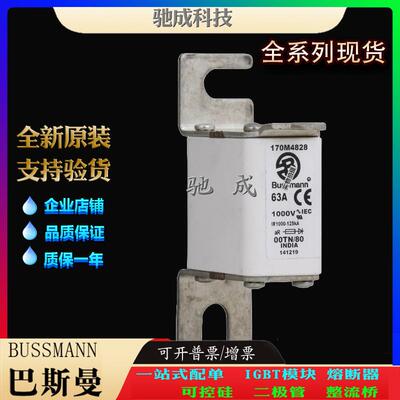 巴斯曼170M4828 170M4829 170M4830 原装进口量大价优 快速熔断器