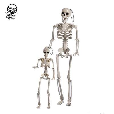 Halloween skeleton pose standing human simulation万圣骷髅架