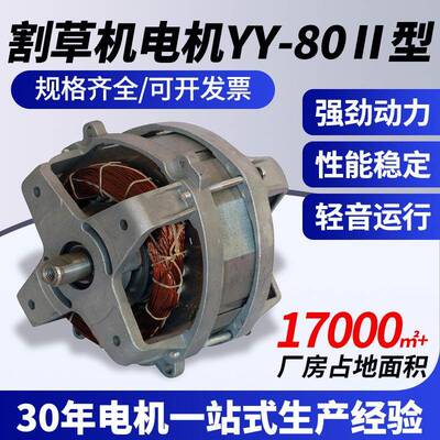 户外割草机230/120V电机2800/3400RPM性能稳定直流无刷微型电机