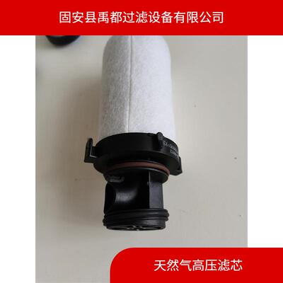 YR-01000-97-F天然气高压滤芯天然气滤芯