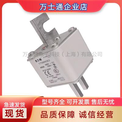 170M4308 170M4309 170M4310 170M4311 170M4312 170M4313熔断器