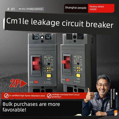 单相Cm1Le漏电断路器40A 50A 63A漏电保护家用220V保护器100A125A