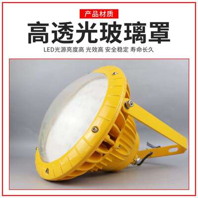 50W厂房车间防爆应急照明灯60W100WLED泛光灯70瓦LED防爆灯耐腐