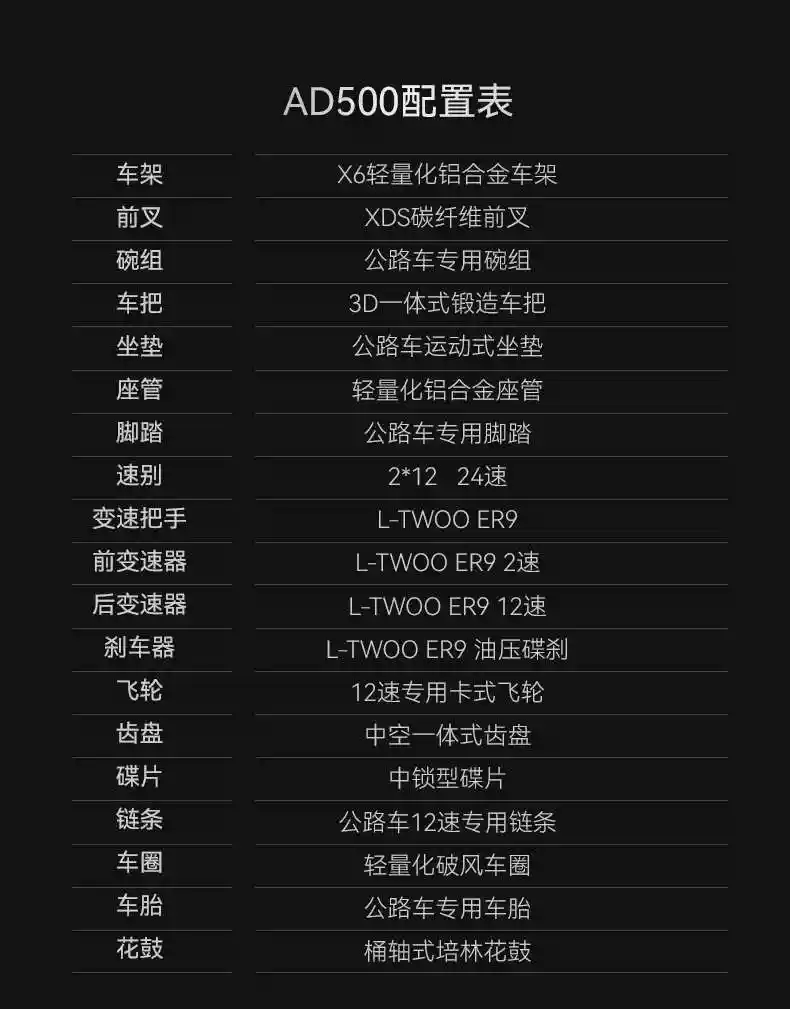 新款喜德盛AD500公路自行车电子变速24速油压碟刹桶轴碳纤前叉