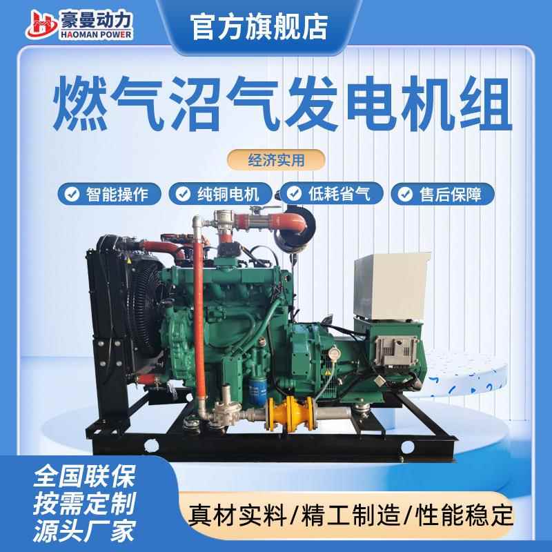 LPG石油液化气用20kwCNG燃气发电机组养殖场用30千瓦沼气发电机