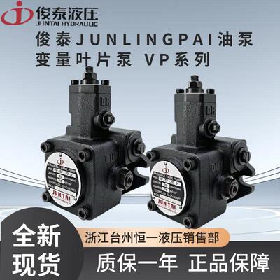 俊泰JUNLINGPAI油泵JUNTA叶片泵VP-SF-12/15/20/30/40-D VP-20D