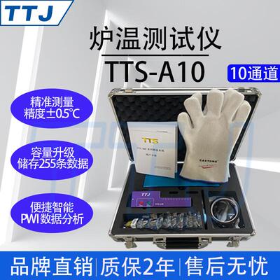 TTJ品牌炉温测试仪 粉末涂装高温专用TTS-A10通道炉温曲线温度仪