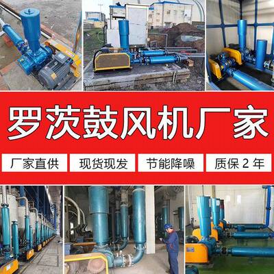 章丘三叶罗茨鼓风机 罗兹真空泵厂家 粉体输送增压污水曝气增氧机