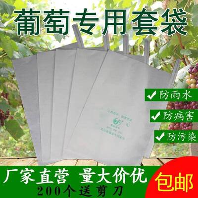 Waterproof and rain-resistant fruit bag for grapes, designed