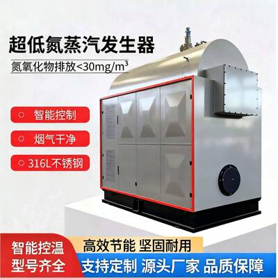 金达汽DHZ燃手煤生物质卧式烧蒸TBH锅炉 润2吨 4吨 6吨
