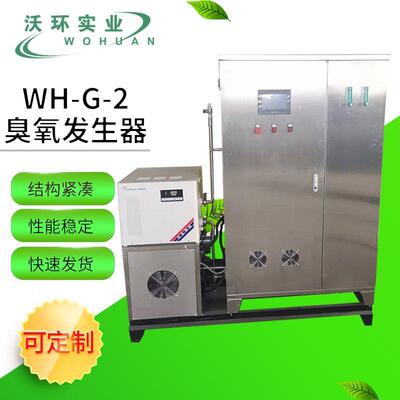 厂家供应带冷水机空气净化器一体化臭氧发生器氧气源5kg可定制