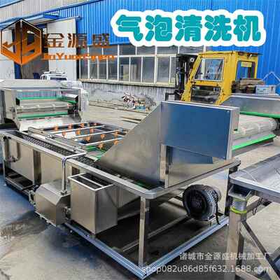 角豆芸豆清洗备CVG全自动清洗喷淋加工设备商设用净菜白清洗流水