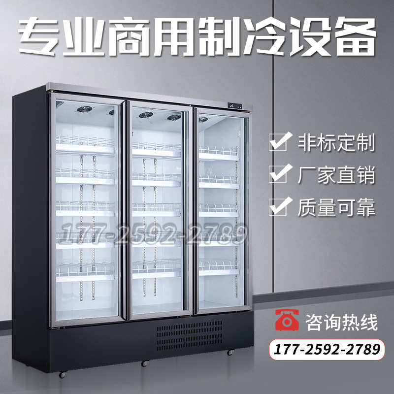 三开力门贝柜保鲜冰柜小型柜展示超市水果便利店冷藏商用立式饮料