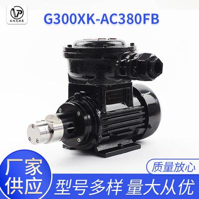 厂家直供G317XK/AC380FB交流防爆微型齿轮泵油泵油墨泵omp欧瑞克