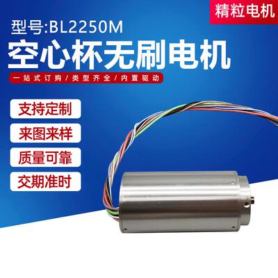 BL2250M空心杯无刷无刷直流减速电机12V低噪音微型直流减速