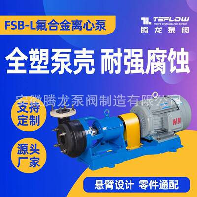 耐酸碱氟合金离心泵 FSB卧式氟塑料泵 硫酸盐酸输送泵 腾龙