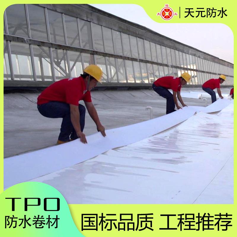 热塑性聚烯烃tpo防水卷材/采购聚酯纤维内增强加筋均质背衬型