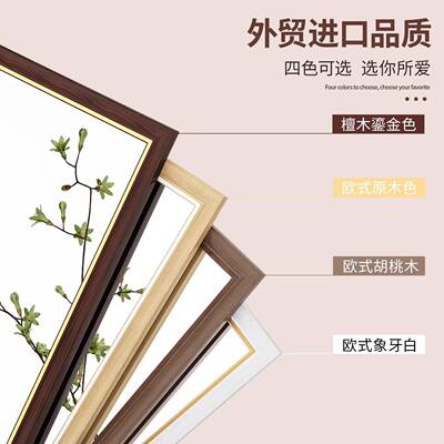 全身CBG05.30镜卧穿衣落地镜家用衣室高级感试镜挂网红壁立式镜子
