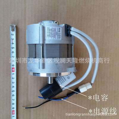销售RIELLO利雅路FS10燃烧机RHE牌1604171T90W4uf电机马达