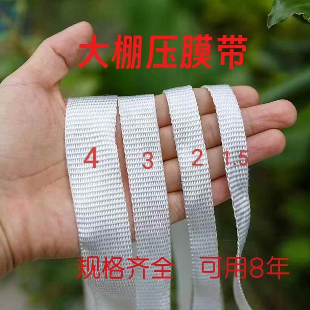 大棚压膜绳压膜线压膜带抗老化白色聚酯纤维压膜绳压膜带压膜线耐