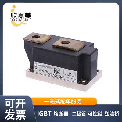 TZ310N22KOFTZ310N20KOF功率二极管模块晶闸管可控硅库存充足