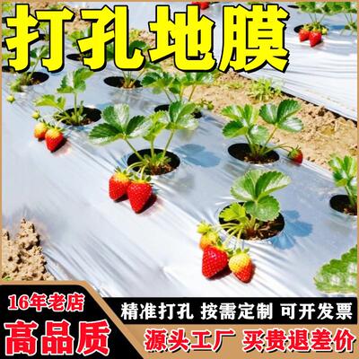 定做带洞眼农用塑料薄膜蔬菜双色打孔地膜银黑地膜防草率90%左右