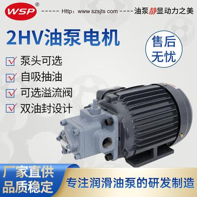 厂家直销摆线泵润滑油泵2HV20-VO马达油泵电机