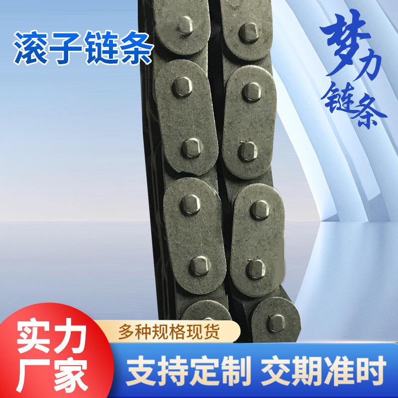 预定款RF50-2 C型10A双排直板型滚子链条 工业传动链条 链条