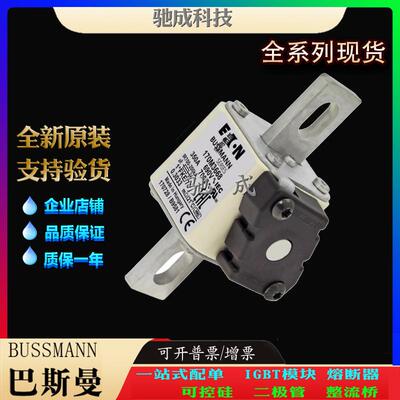 巴斯曼170M3667 170M3668 170M3669 加工制作销售 高速熔断器