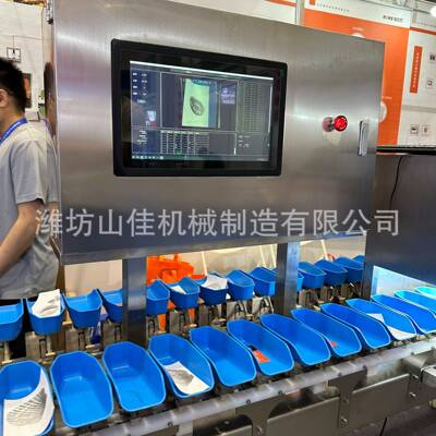 选果机小型参水果分级机自分动重量选QBJ机人分选机玉米称重分级