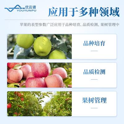 水果BCO表分析仪柑橘梨分三维析表型仪型柑橘梨等水果品质分析仪