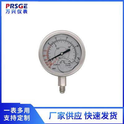 厂家供应冷媒压力表 径向耐震 双针双管冷媒压力表YN80/7/16-2