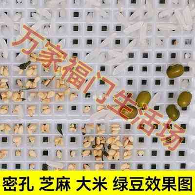 加密淘米收纳筐塑料篮熟料长方形厨房洗菜水果周转筐商用密眼漏筐