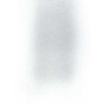 新充气水上钓鱼浮台钓台撒网充气垫子气垫船小水鸡船汽车垫体操垫