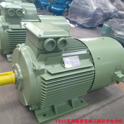 山东厂家直供 YTSZ280M-6/75W YTSZ系列变频调速三相异步电动机