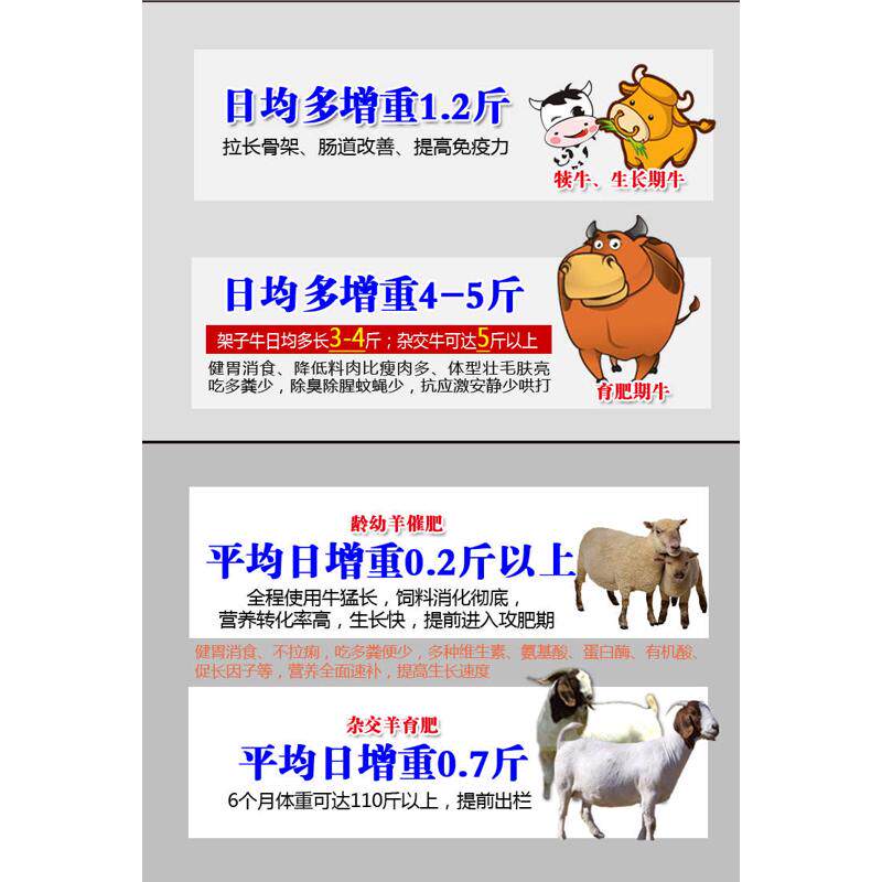 牛羊饲料添加剂 瘤胃蛋白育肥牛预混料 催肥快瘦肉多 吃多粪便少