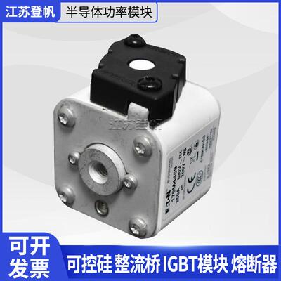 170M4459 170M5460 170M5808 170M5959 170M7034巴斯曼熔断器
