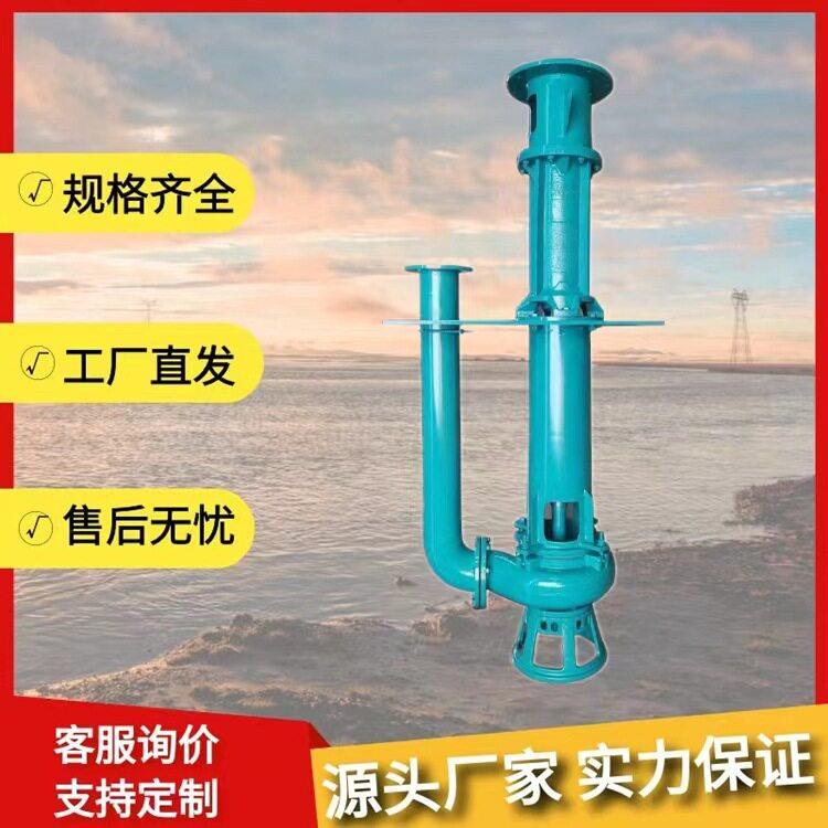液下泥渣浆泵排洪抗涝河道清淤池塘水库沙吸泵00SV2-SMAGA-102P浆
