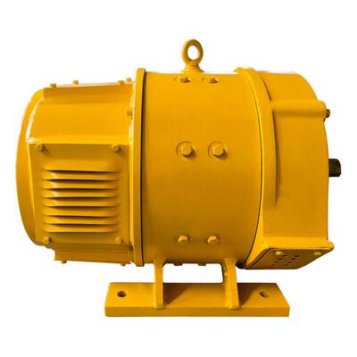 Z2系列直流电机Z2-415.5W220V3000r/min并励