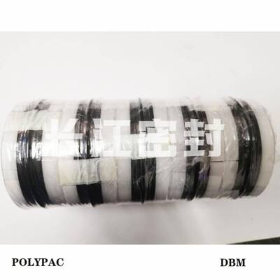DBM100-75-35.1（DAS5POLYPAC)6293油11KVB06-135组合封港口