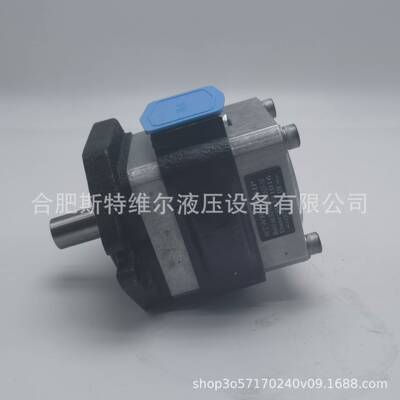 ECKERLE艾乐勒EIPC系列高压齿轮泵，艾可勒高压齿轮泵