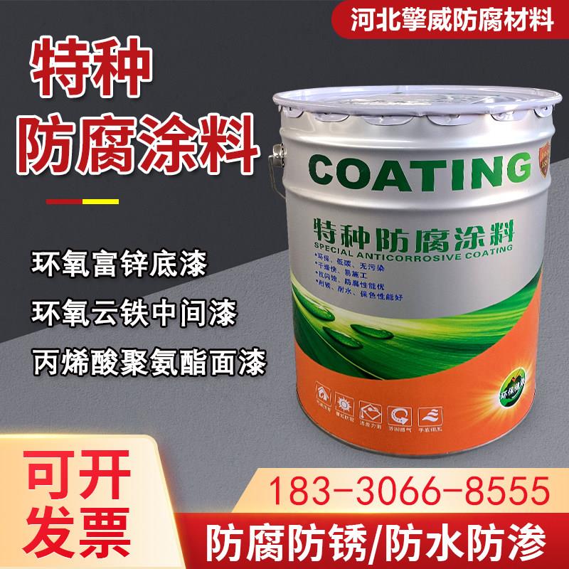 特种防腐涂料重工业环氧云铁中间漆污水池冷却塔丙烯酸聚氨酯面漆