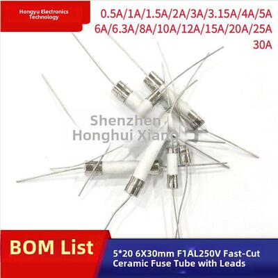 3.6*10/5x20/6X30陶瓷保险丝管带引脚F快断/T慢断F10AL/T10AL250V