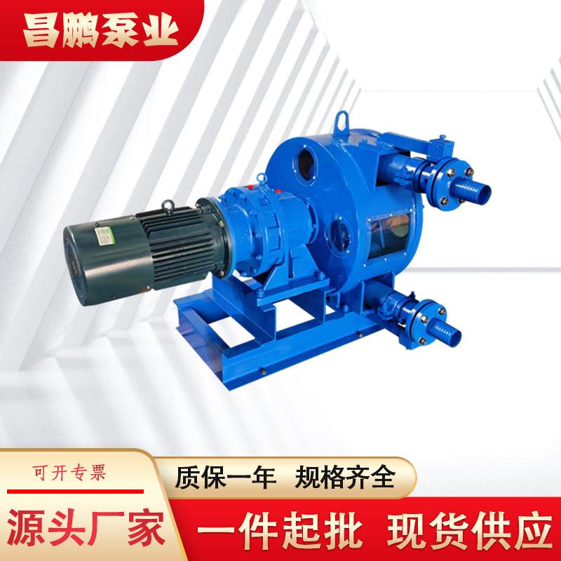 RGB65软管泵筑路筑桥灌浆泵高粘度化工颗粒泥浆进料泵悬浮颗粒泵