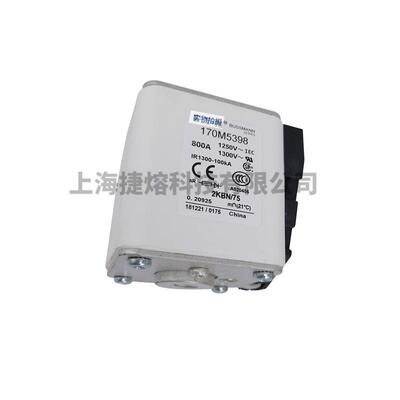 170M5388 170M5398 快速熔断器 保险丝 电子元器件 量大价优